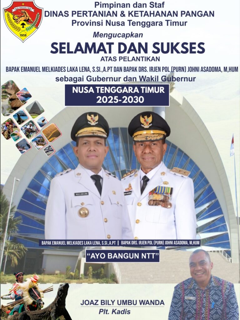 Koran NTT | Informasi Terkini dari Nusa Tenggara Timur